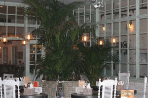 The Botanist, Manchester - Special Preview - Food Geek | Food Blog